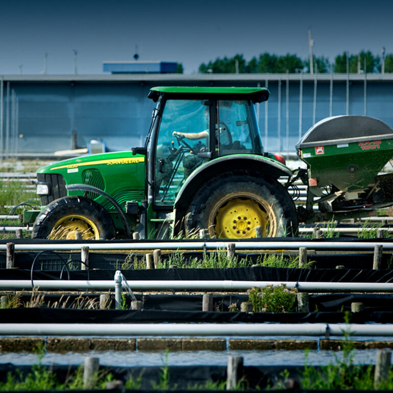 Delta Farms – Polychaete Farming